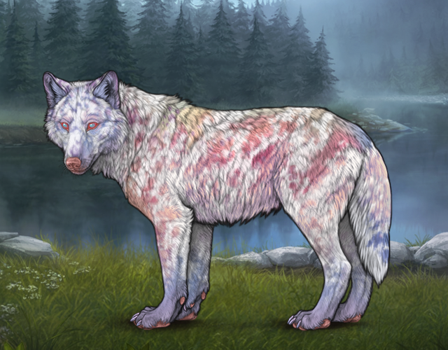 G3 T2 5m 4ev merle SOMN |:| Wolvden