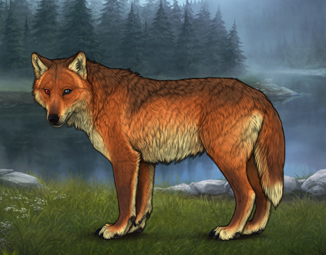 G4 Akhlut 5m |:| Wolvden