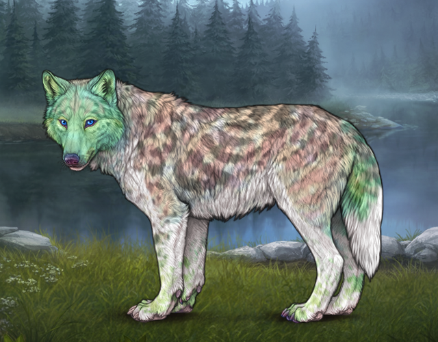 Zerdava! |:| Wolvden