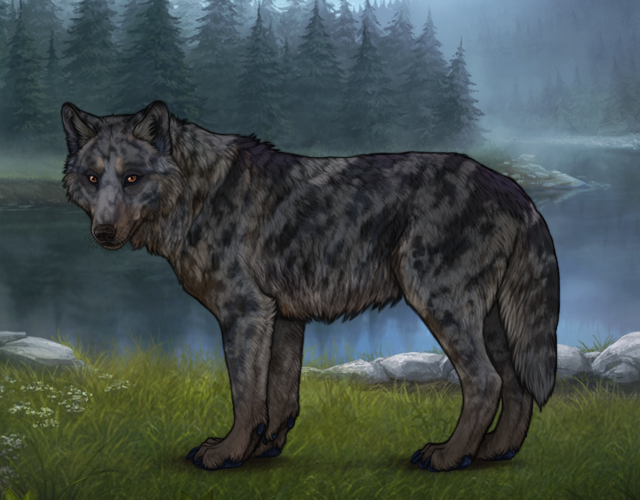 Blueschist 🔥 g1 |:| Wolvden