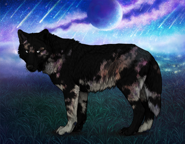 Mottled patches! |:| Wolvden