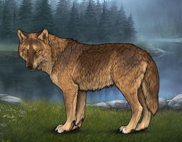 Atalantia |:| Wolvden