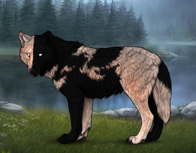 CLG4T2M2 Lady Str/Agi |:| Wolvden