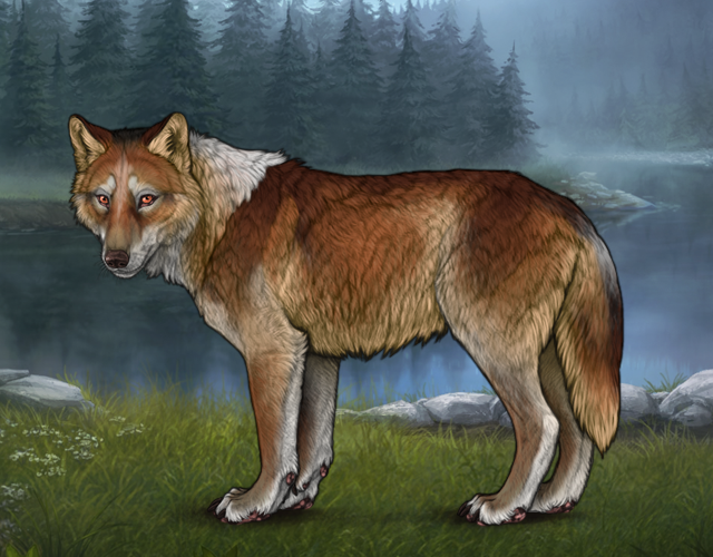 The poopshitter |:| Wolvden