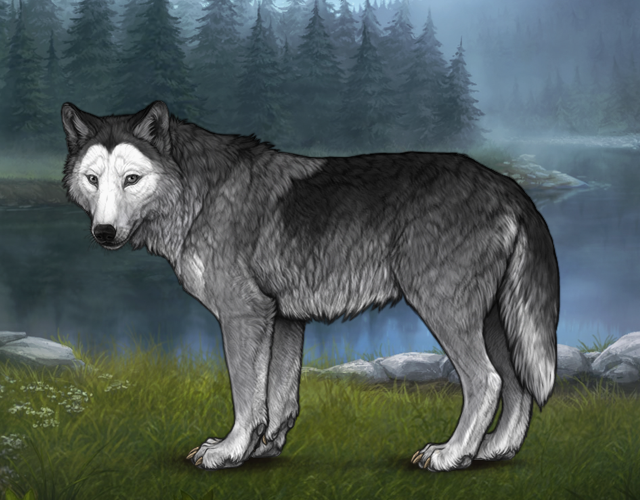 New Runt Puppy |:| Wolvden