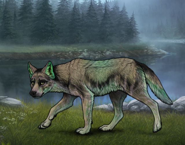 Khaki T1 6m 472 ⭐ |:| Wolvden