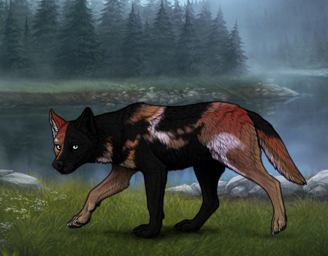 Split Patches |:| Wolvden