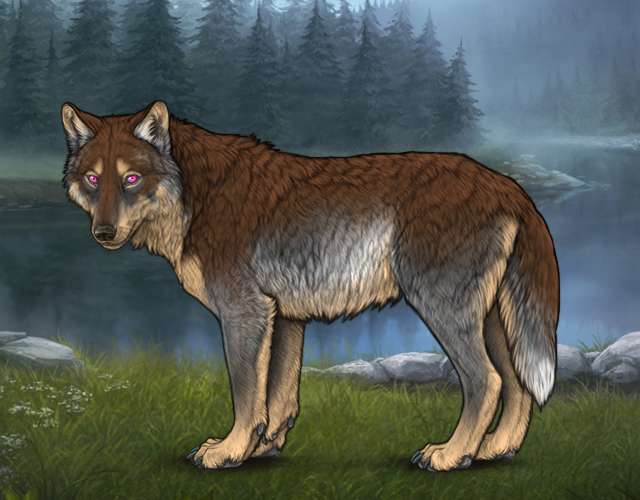 Chased Wolf Spotting - Revamped |:| Wolvden