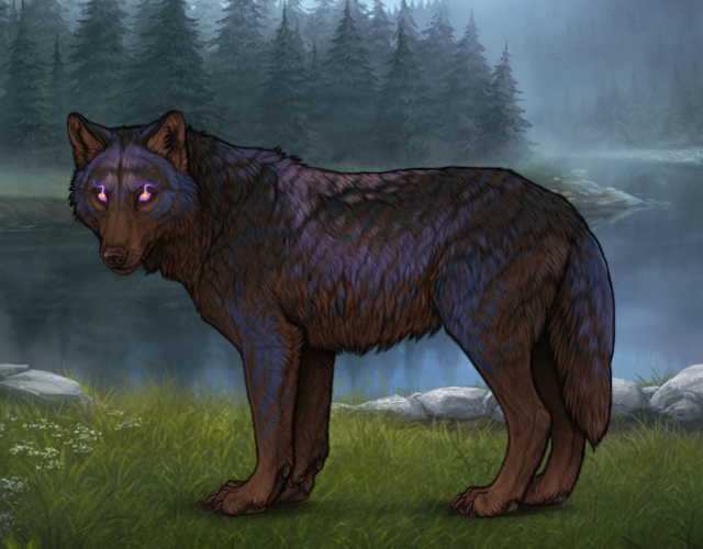 Tapetum lucidum |:| Wolvden