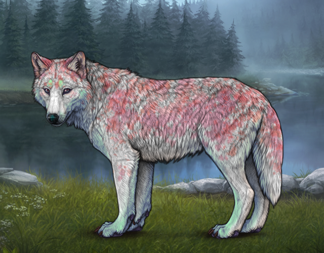 Chased Wolf Spotting - Revamped |:| Wolvden