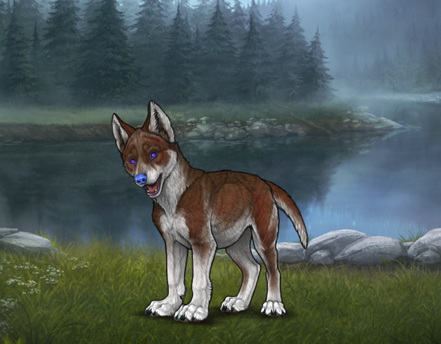 Storm w. Whitetail |:| Wolvden