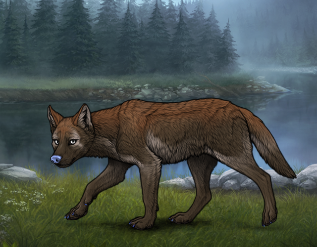Chased Wolf Spotting - Revamped |:| Wolvden