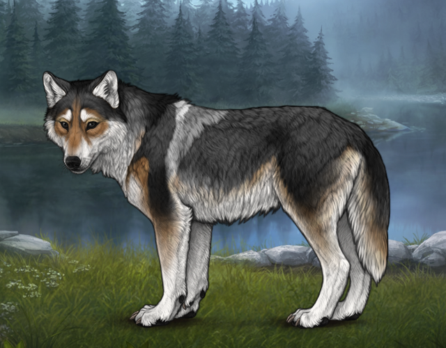 𝐀𝐩ò𝐥𝐥𝐨 |:| Wolvden