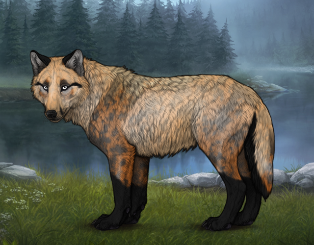 G1, 5M- Vixen, Merle |:| Wolvden