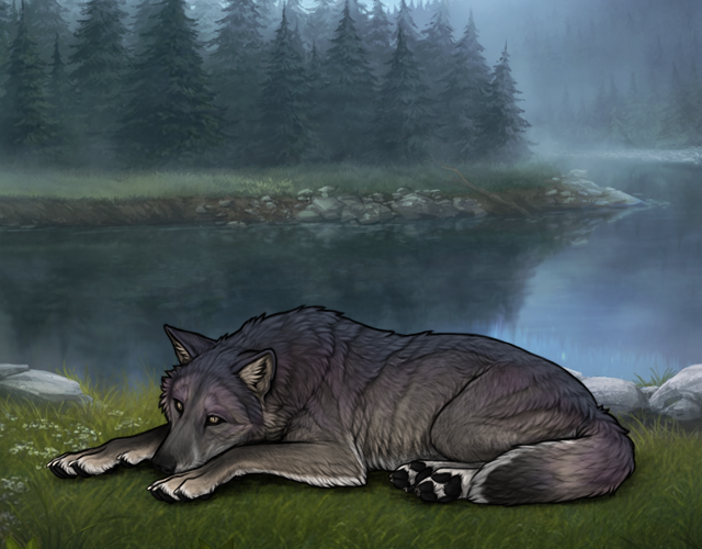 Murasaki Iro 🍼 |:| Wolvden