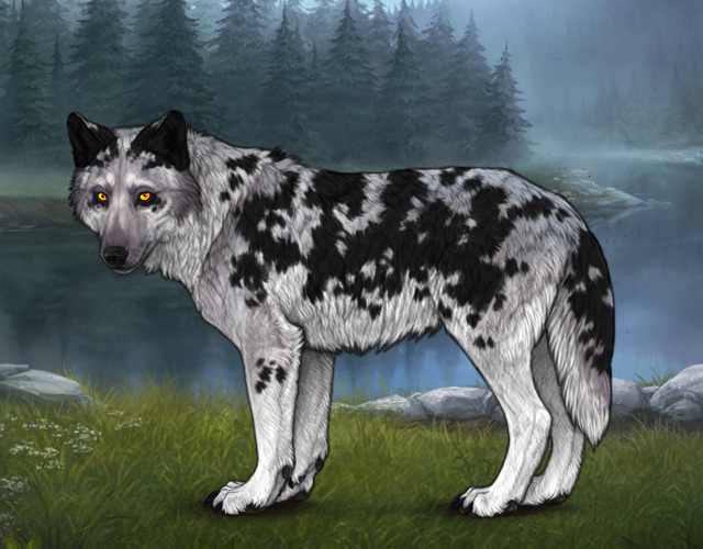 G3 T* Ghost |:| Wolvden