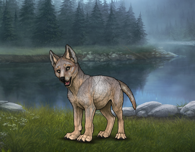 Mel Carrier |:| Wolvden