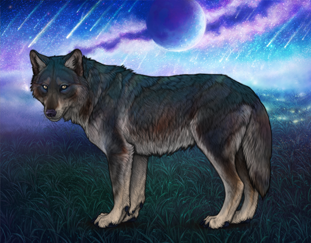 New Befriended Wolf |:| Wolvden