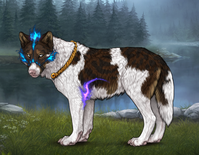 Natural piebald G4 |:| Wolvden