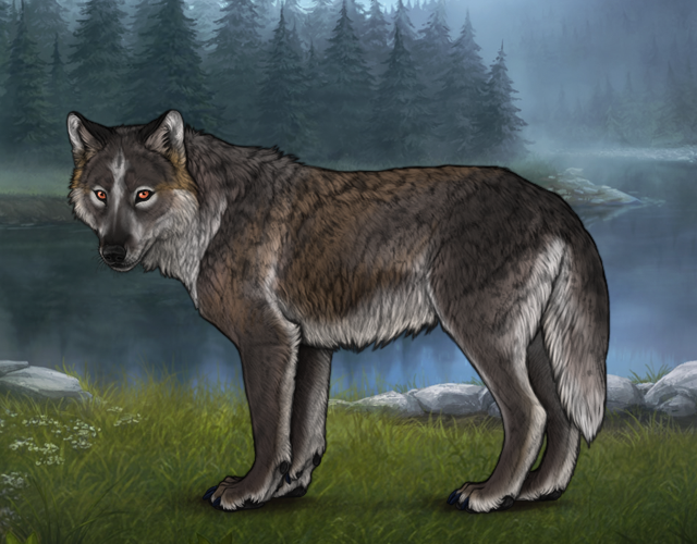 Chased Wolf Spotting - Revamped |:| Wolvden