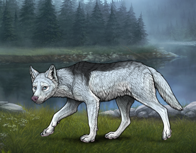 New Puppy |:| Wolvden