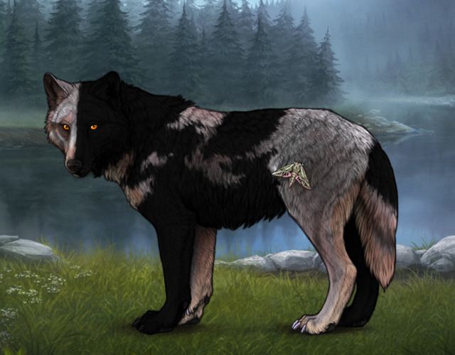 SPLIT f t2 5m |:| Wolvden