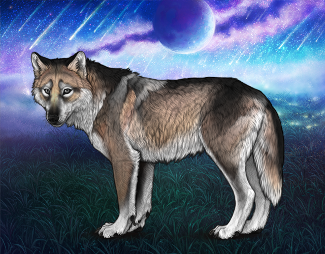 Chased Wolf Spotting - Revamped |:| Wolvden