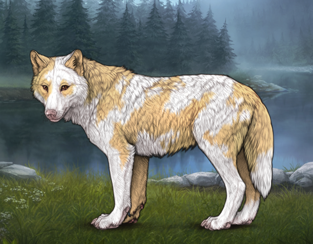 Piebald Torn-posted |:| Wolvden