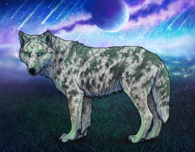 6M T3 G3 |:| Wolvden