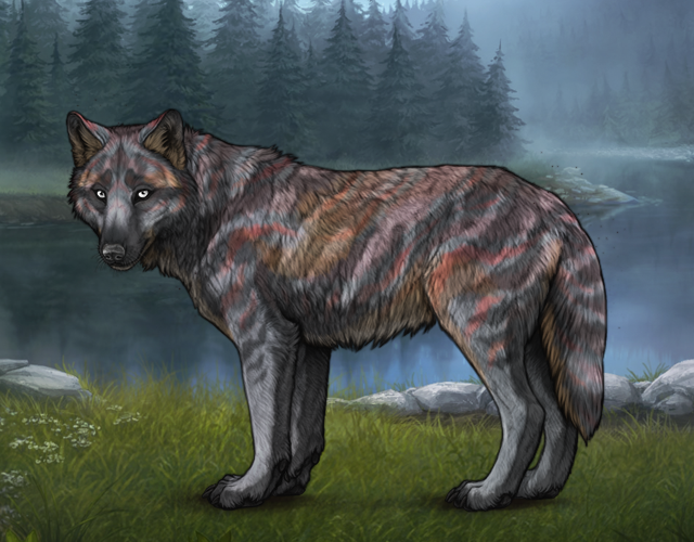 Galena F G4 |:| Wolvden