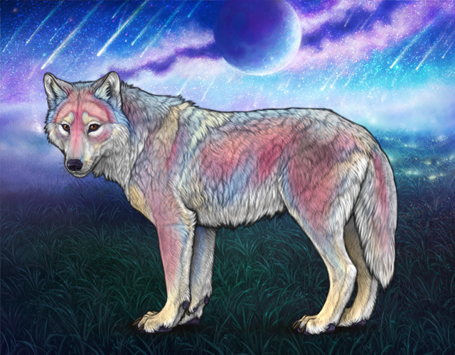 Siqoq T2 7M M |:| Wolvden