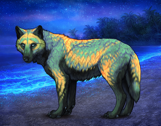 Starsky {G5-MELA/B} |:| Wolvden