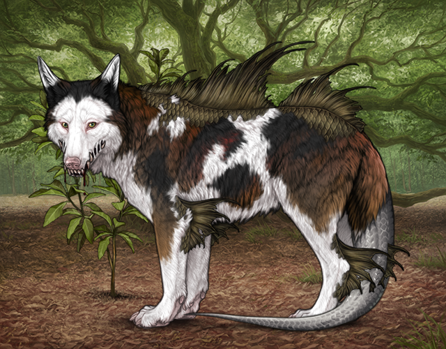 G4 Frontal |:| Wolvden