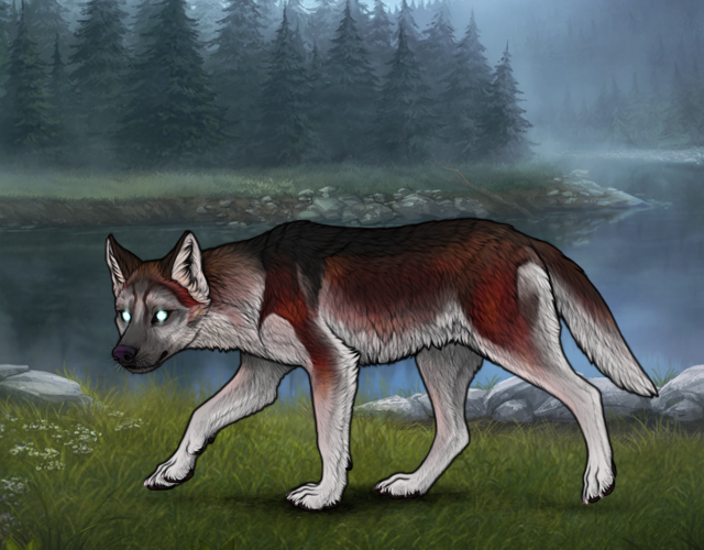 Arabella |:| Wolvden