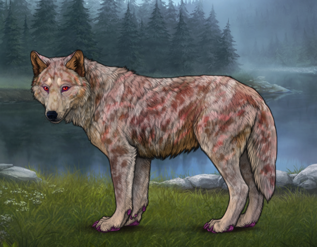 8M Liver, Red, G2, sell |:| Wolvden