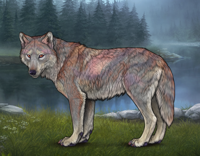 gray lighter |:| Wolvden