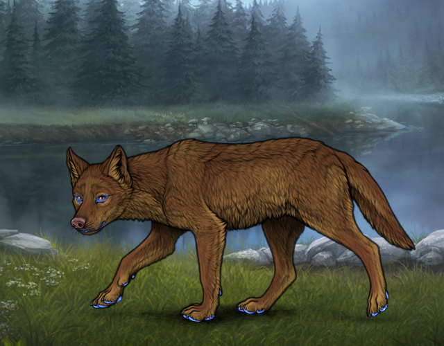 G5 Biotite T2 T0/T1/T6M F |:| Wolvden