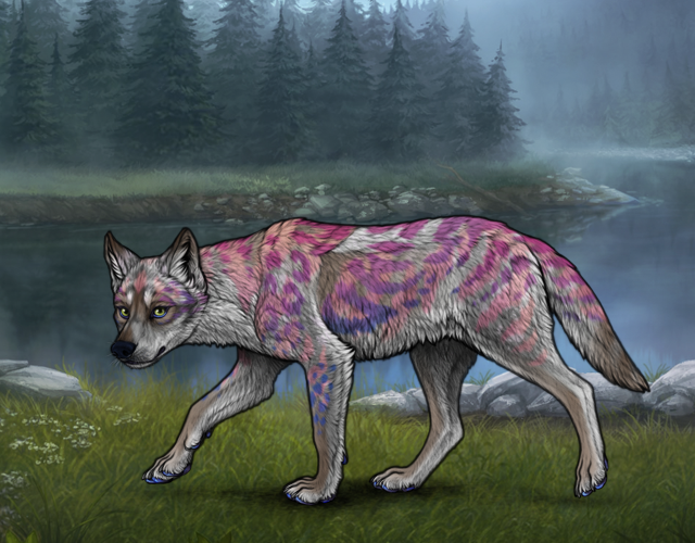 Wolvden