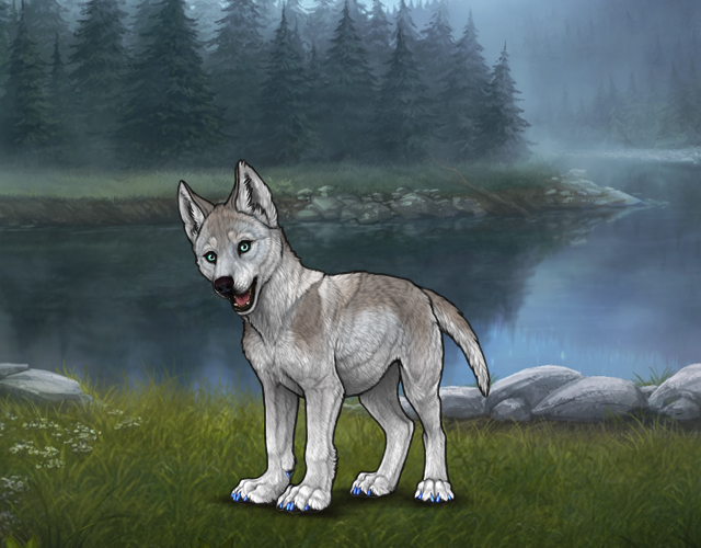 Chestnut T1 | 6m | 371st |:| Wolvden