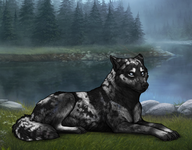 Changing |:| Wolvden