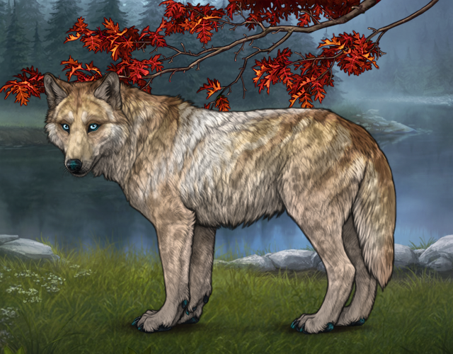 Greisen merle |:| Wolvden