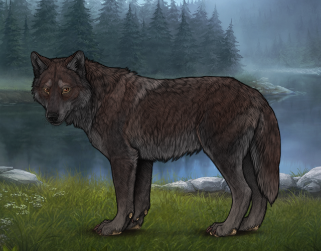 Chased Wolf Spotting - Revamped |:| Wolvden