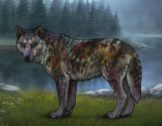 Keep Male 7m |:| Wolvden