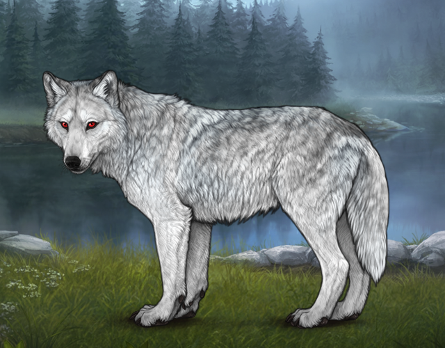 T2 Titanium Female |:| Wolvden