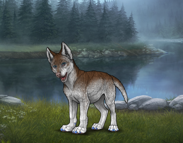 T2 Piebald Torn 6M |:| Wolvden