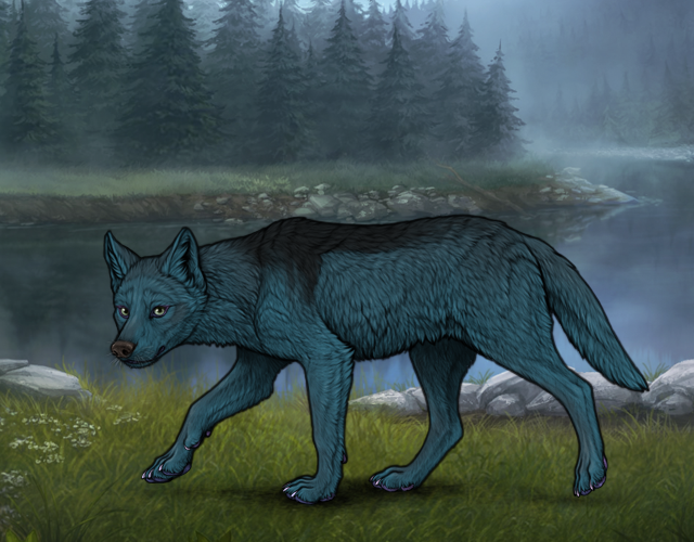 New Befriended Wolf |:| Wolvden