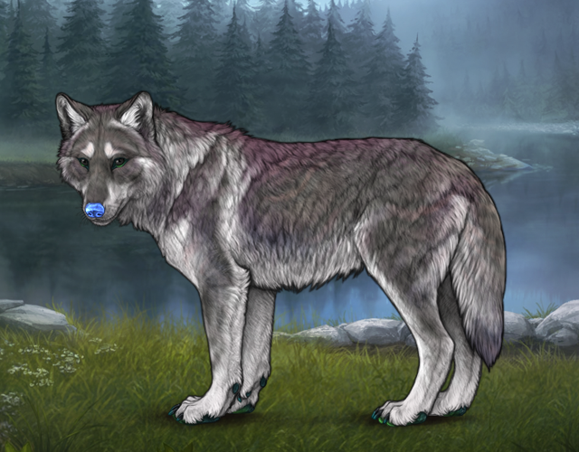 New Runt Puppy |:| Wolvden