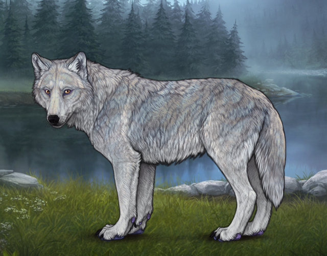 Chased Wolf Spotting - Revamped |:| Wolvden