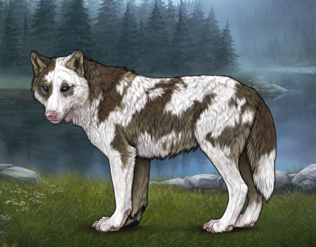 Scorned joust |:| Wolvden