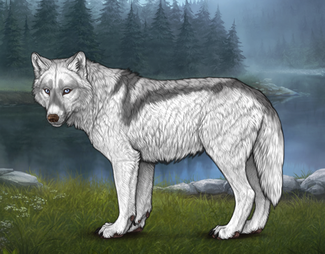 1 T0 T4 |:| Wolvden